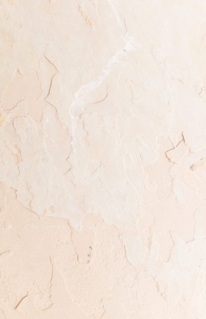 Five-Day Workshop: Opt In