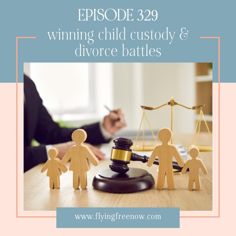 Winning Child Custody & Divorce Battles: Pro Strategies from a Top ...
